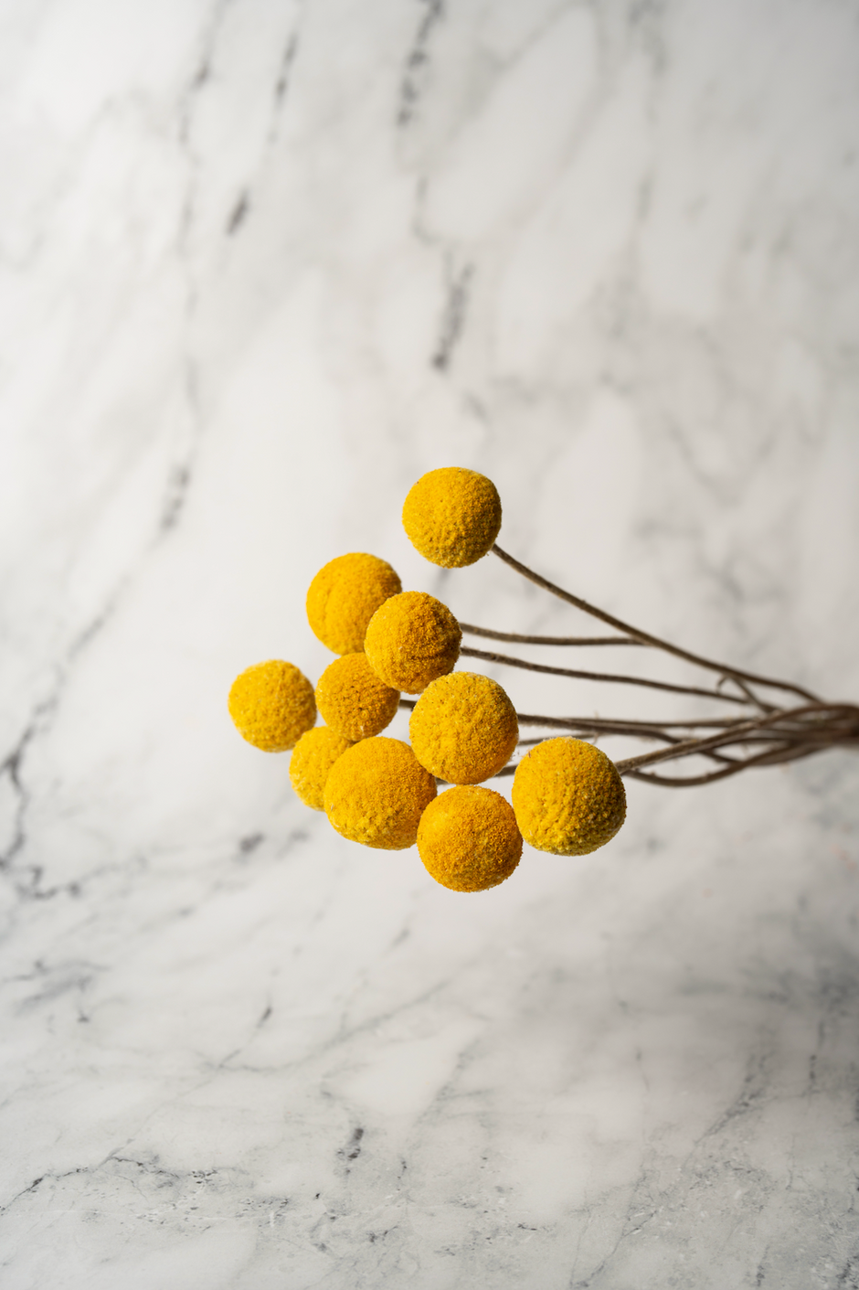 Products – Flor Keeps